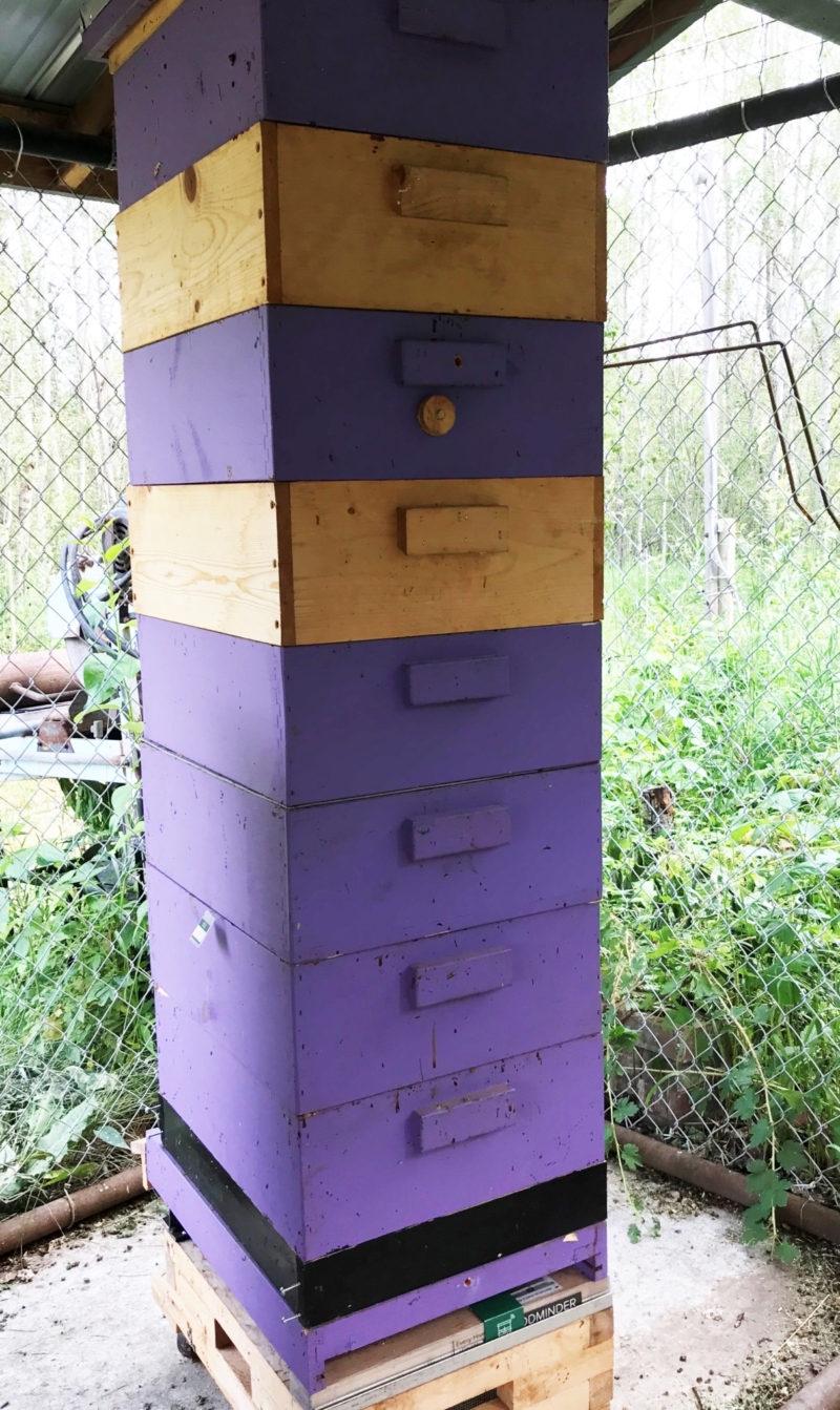Electronic Hive Monitoring in the Peace Region – Bee BC