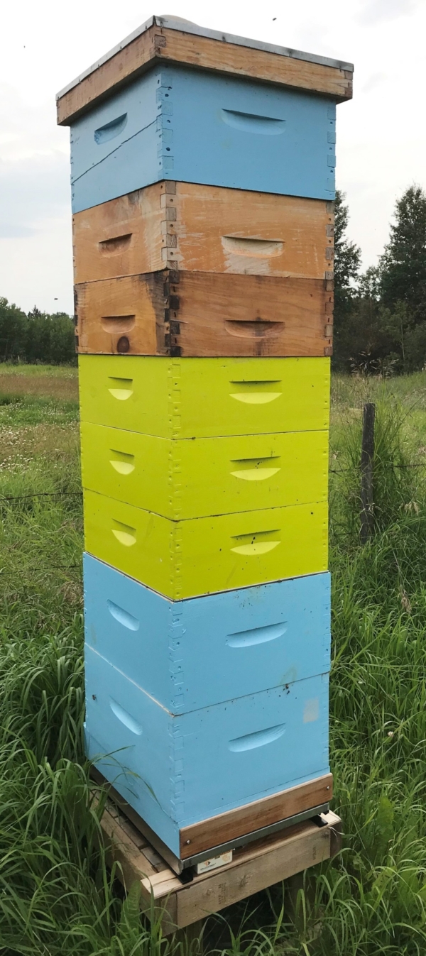 Electronic Hive Monitoring in the Peace Region – Bee BC